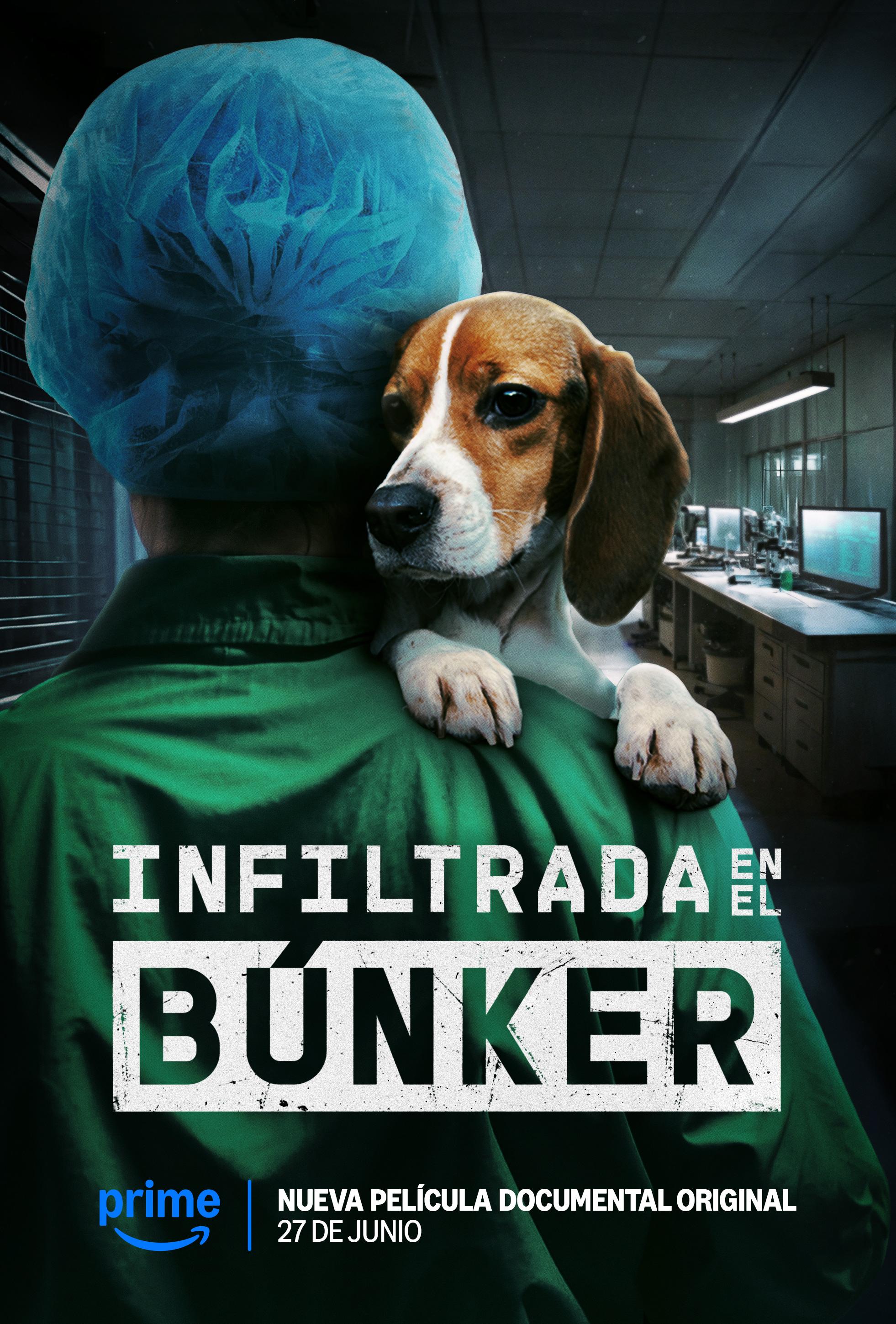 How an undercover activist exposed Spain’s darkest animal testing lab ...
